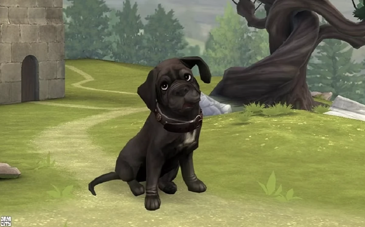 Fang | Hogwarts Mystery Wiki | Fandom