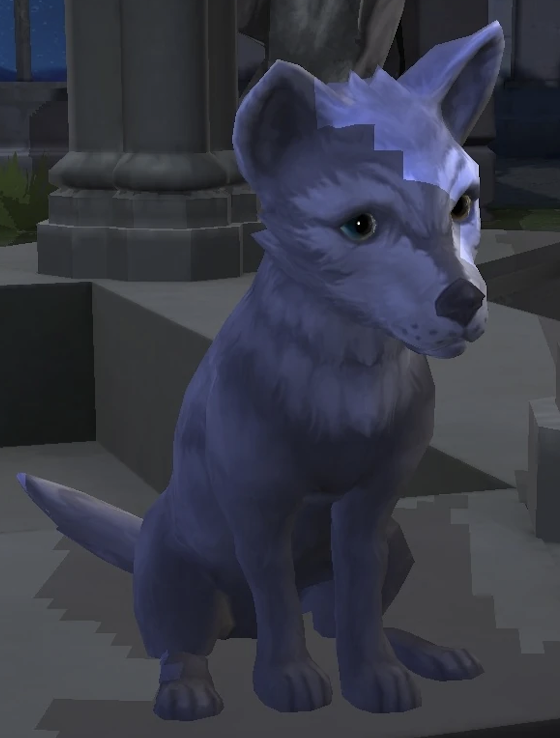Borf Hogwarts Mystery Wiki Fandom