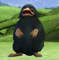 Niffler | Hogwarts Mystery Wiki | Fandom