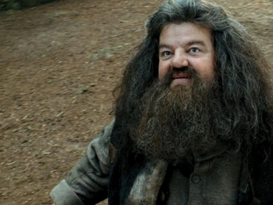 Rubeus Hagrid | Hogwarts Role-Playing Wiki | Fandom