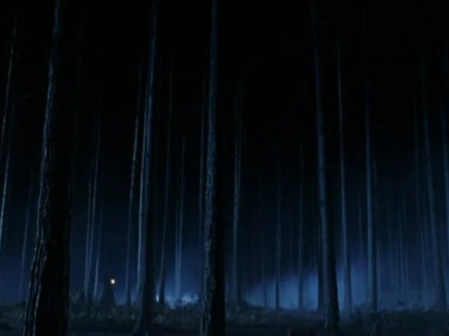 Forbidden Forest | Hogwarts Role-Playing Wiki | Fandom