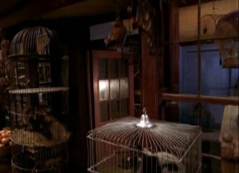 Magical Menagerie | Hogwarts and the Wizarding World Roleplay Wiki | Fandom