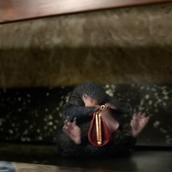 Nifflers - Harry Potter: Hogwarts Mystery Wiki