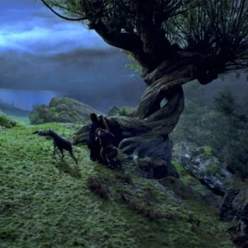 The Whomping Willow - Harry Potter: Hogwarts Mystery Wiki