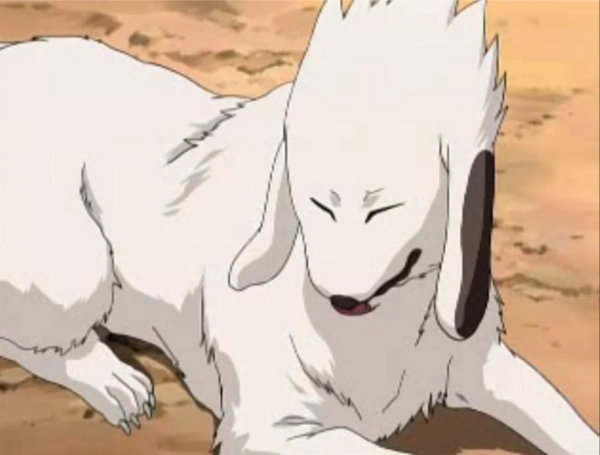 Akamaru | Hokage Boss Wiki | Fandom
