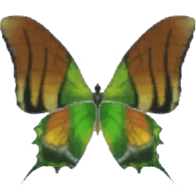 Kaiser i Hind - Hokko Life Wiki