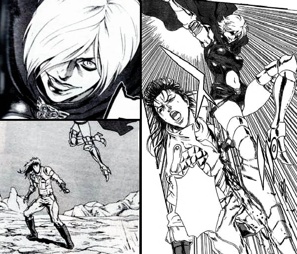 Nanto Hisui Ken | Hokuto Renkitōza | Fandom