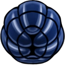 Baldur Shell | Wikia HOLLOW KNIGHT VIETNAM | Fandom