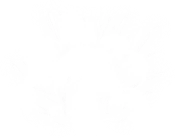 Howling Wraiths | Wikia HOLLOW KNIGHT VIETNAM | Fandom