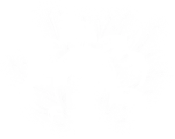 Howling Wraiths | Wikia HOLLOW KNIGHT VIETNAM | Fandom