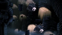 Boofly | Hollow Knight Wiki | Fandom