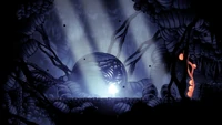 Ancient Basin | Hollow Knight Wiki | Fandom