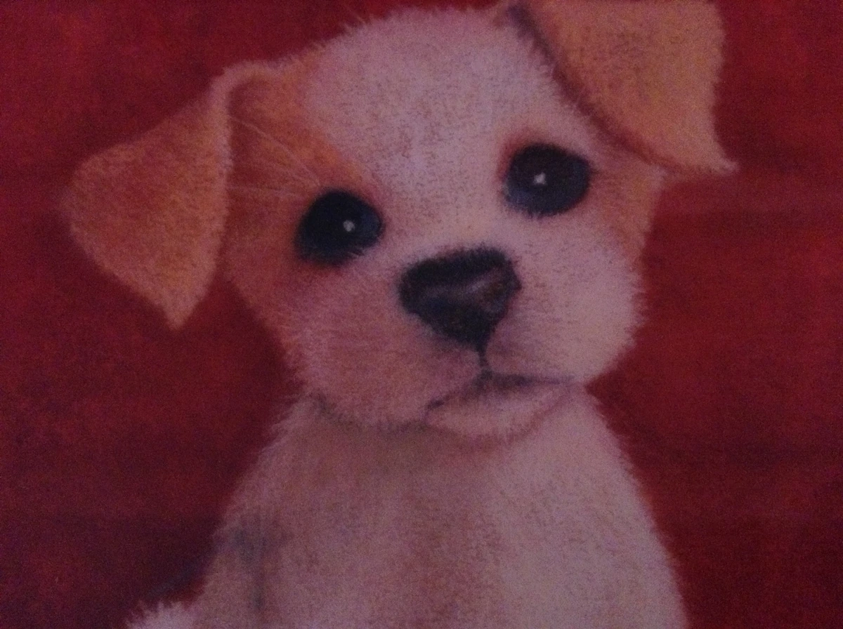 Harry | Holly Webb Wiki | Fandom