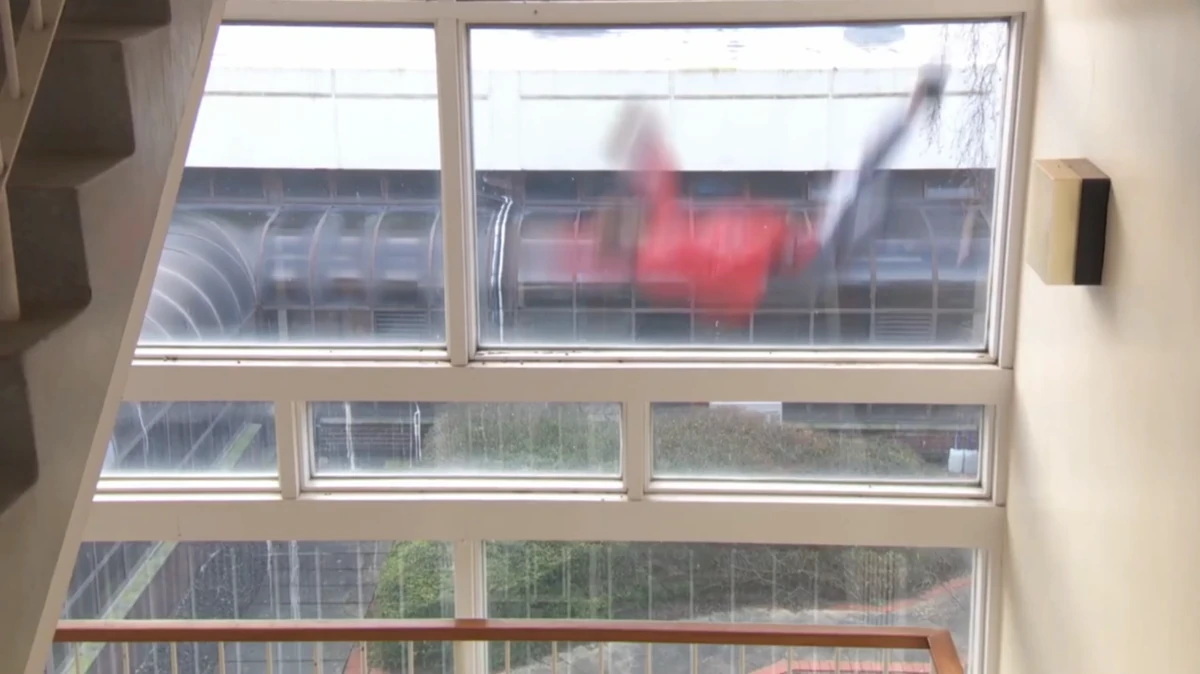 Episode 6332 (15th March 2024) | Hollyoaks Wiki | Fandom