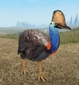 Southern Cassowary | HOLOCENE Mobile Wiki | Fandom