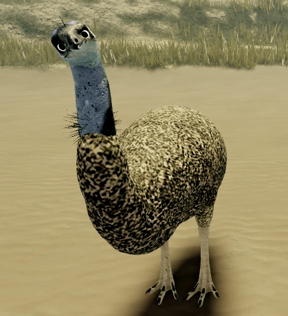 Emu(Testing Server) | HOLOCENE Mobile Wiki | Fandom