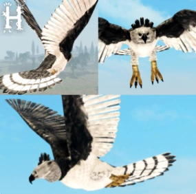 Category:Birds | HOLOCENE Mobile Wiki | Fandom