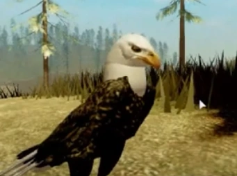 Bald Eagle(Testing Server) | HOLOCENE Mobile Wiki | Fandom