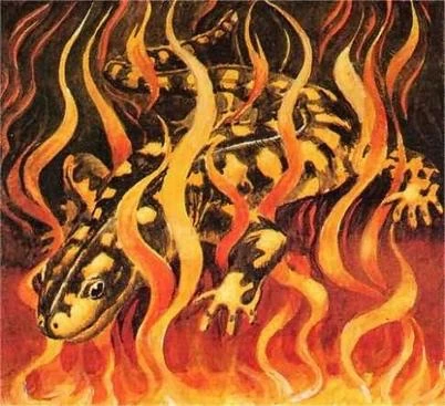 Salamander | Holoverse Wiki | Fandom