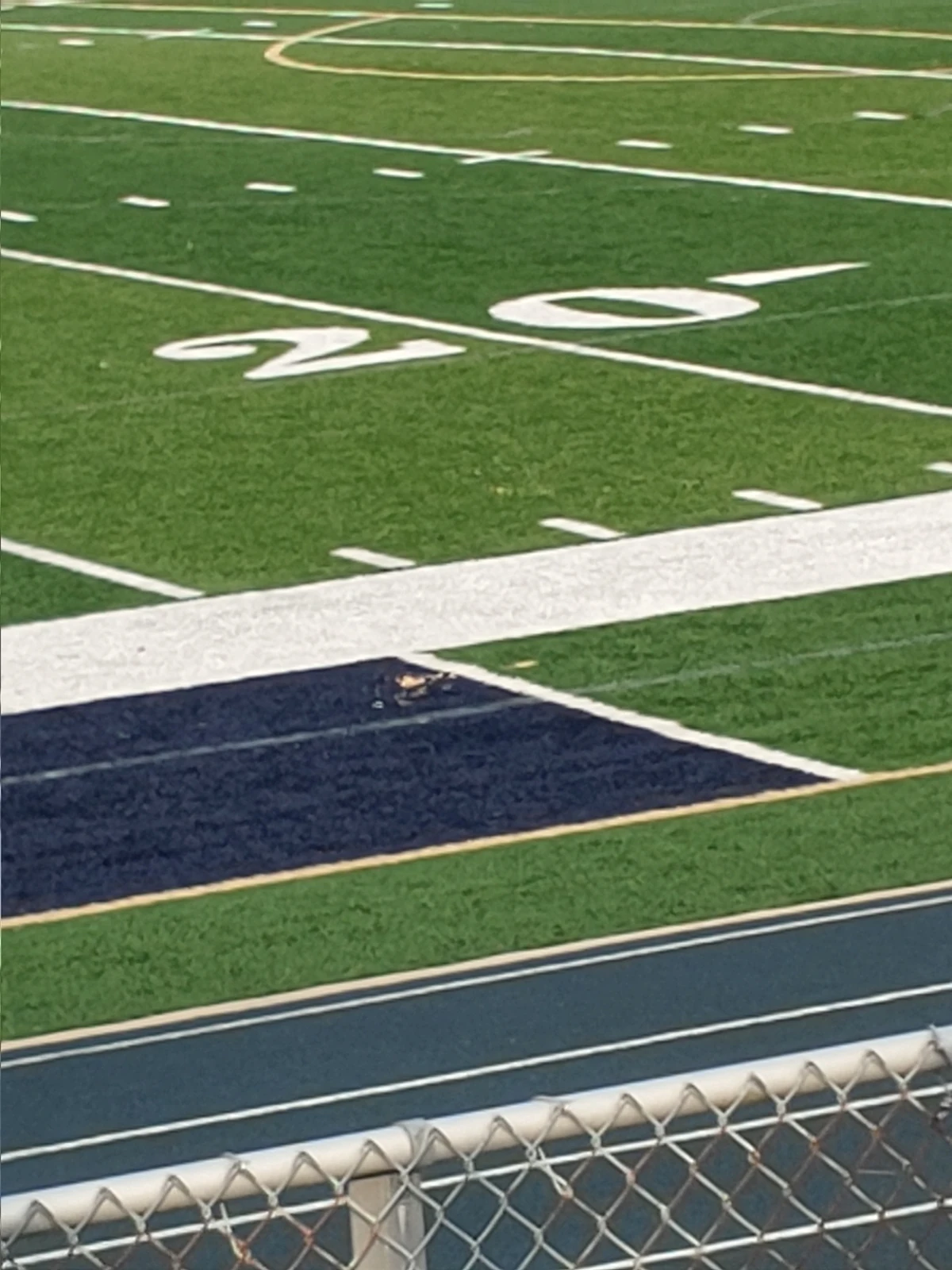 Football Vomit | Holy Trinity Episcopal Academy Wiki | Fandom