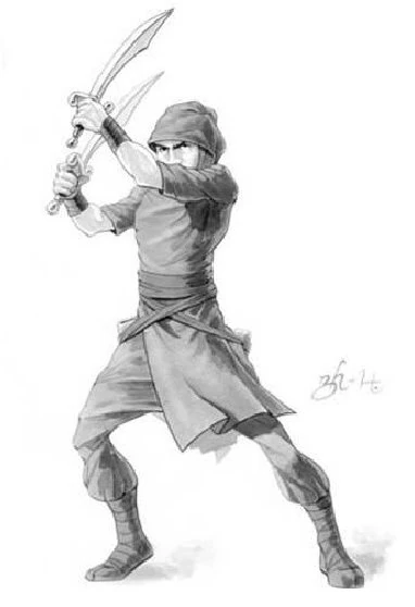 Assassin, Human | Holy Lands RPG Wiki | Fandom