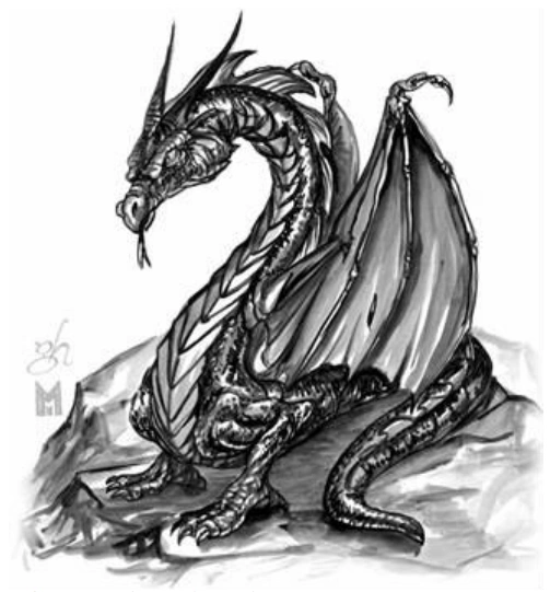 Wyvern | Holy Lands RPG Wiki | Fandom