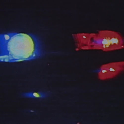 Buddy Cop Movie | HOME Wiki | Fandom