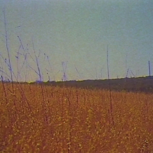 Slide Around | HOME Wiki | Fandom