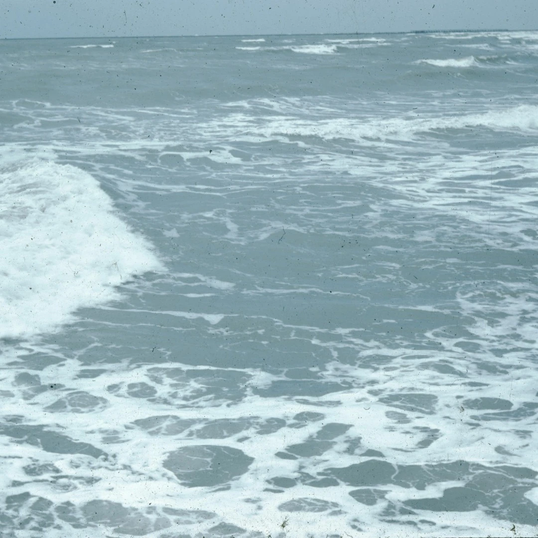 Seance | HOME Wiki | Fandom