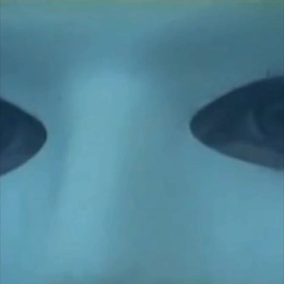 Mask | HOME Wiki | Fandom