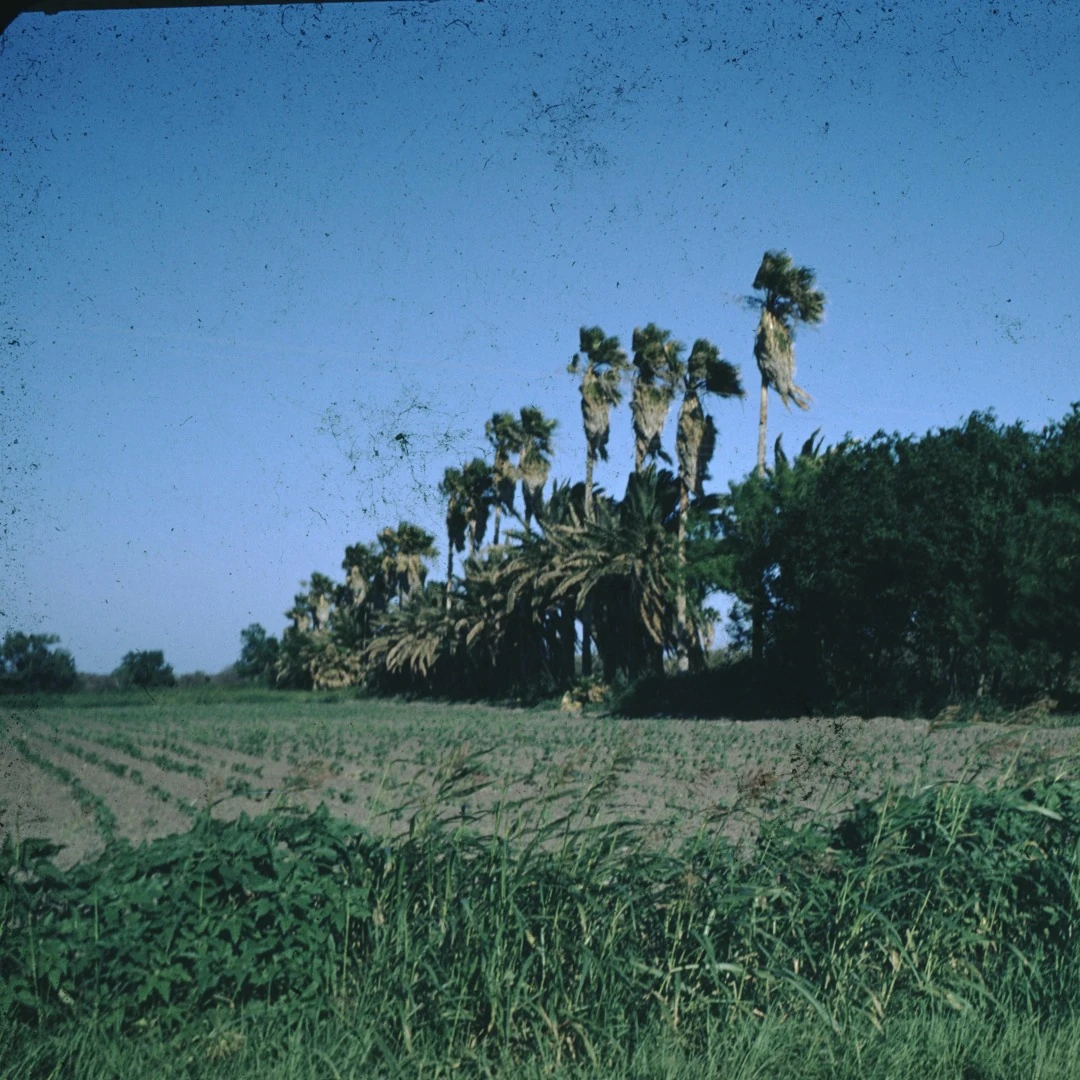 OdysseyIntroLiveTest | HOME Wiki | Fandom