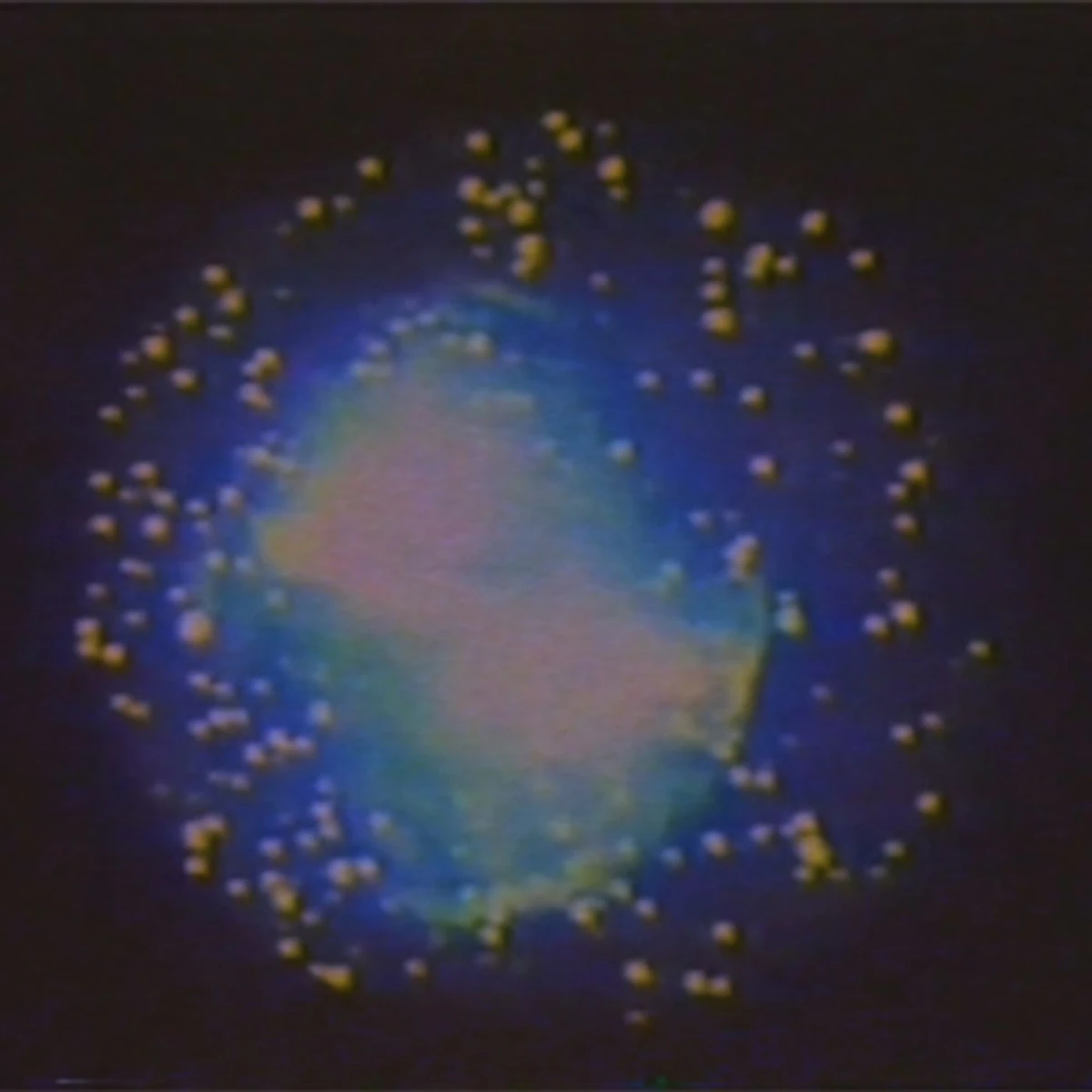 Oort Cloud (Live Demo) | HOME Wiki | Fandom