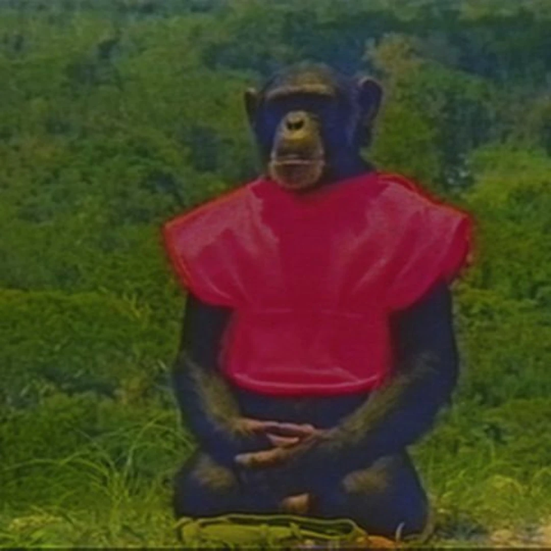 Militia Death Squads | HOME Wiki | Fandom