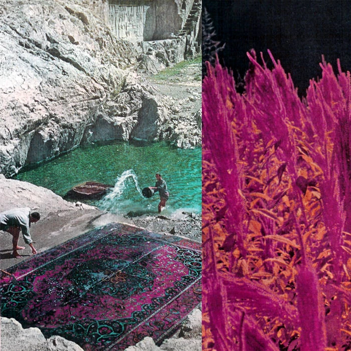 Unfinished Portrait | HOME Wiki | Fandom