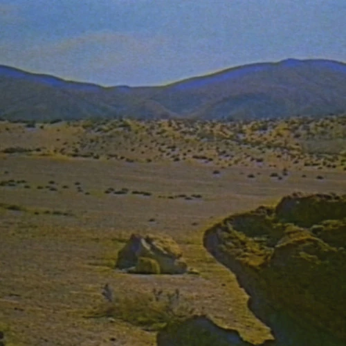 Shapeshifting Tutorials | HOME Wiki | Fandom