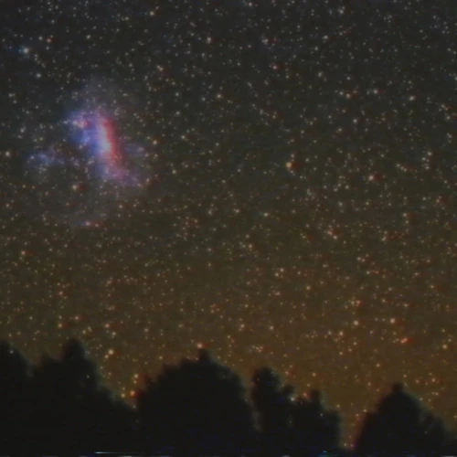 Shush | HOME Wiki | Fandom