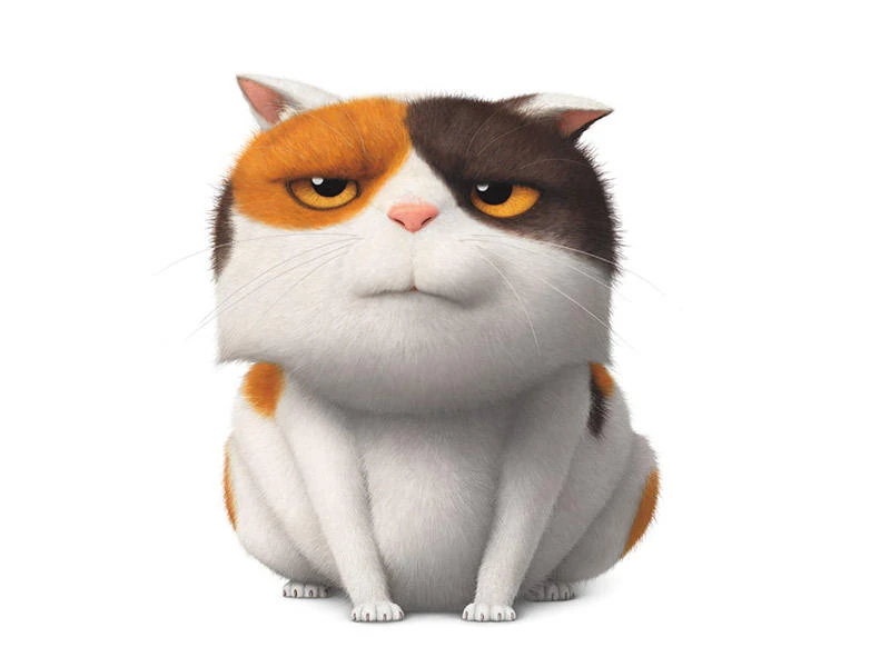 Pig | Home 2015 Wiki | Fandom