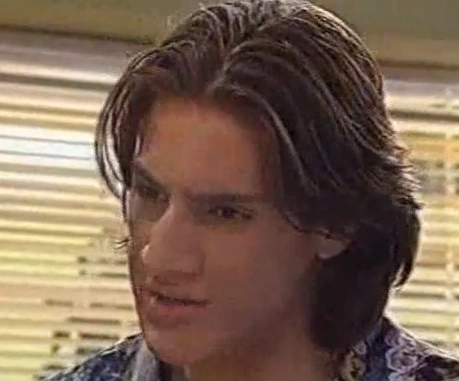 Liam Tanner - List of appearances | Home And Away Soap Opera Wiki | Fandom