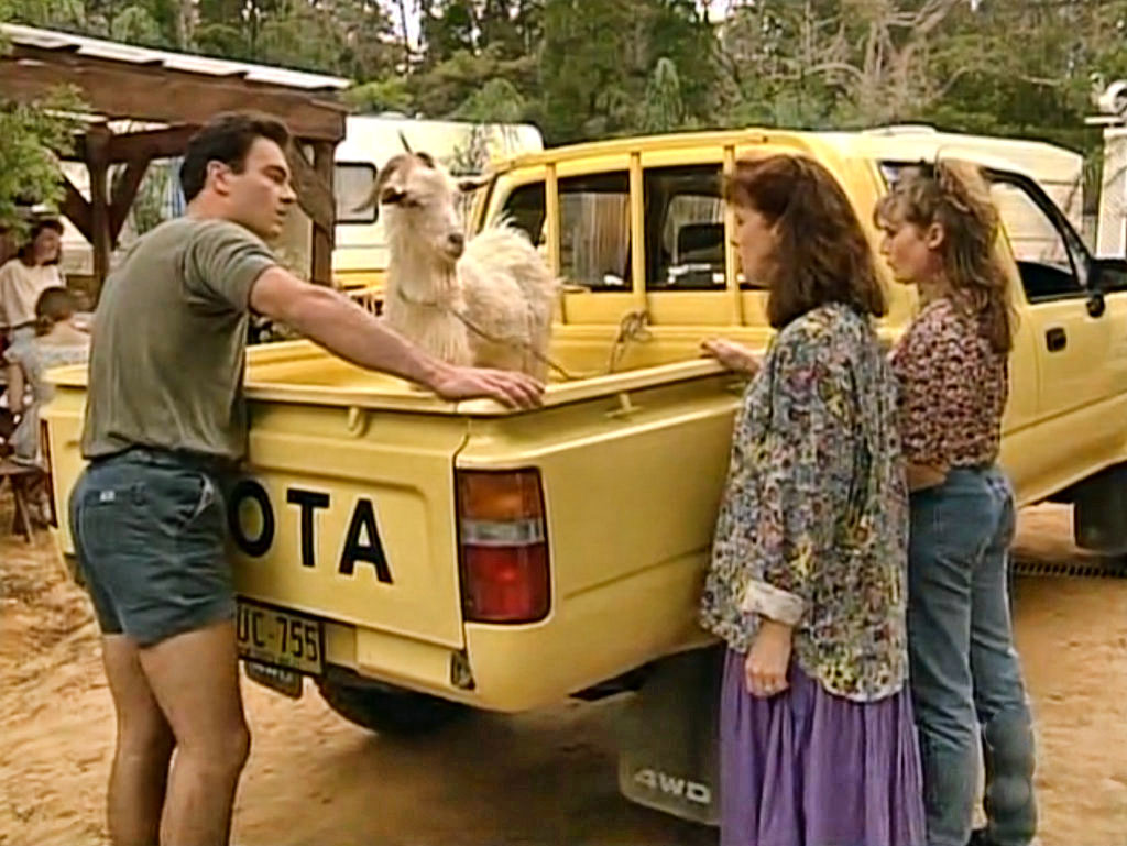 Ep 694 31 Jan 1991 Home And Away Soap Opera Wiki Fandom