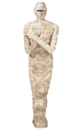Life size mummy | Home depot halloween Wiki | Fandom