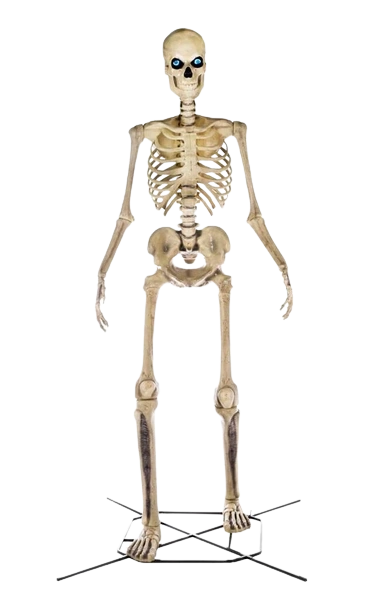 12-Foot Skeleton | Home Depot & Party City Halloween Wiki | Fandom
