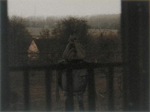 Hans | Home Safety Hotline Wiki | Fandom