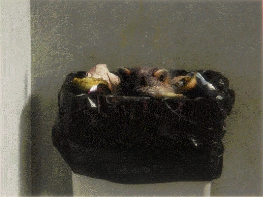 Trash Gnome | Home Safety Hotline Wiki | Fandom