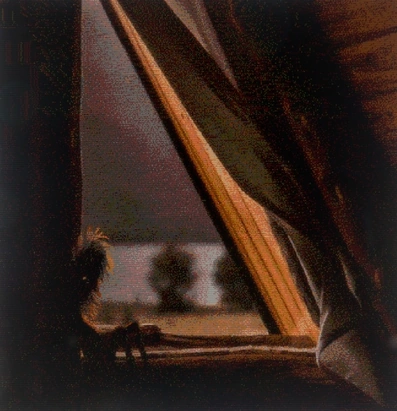 Attic Gnome | Home Safety Hotline Wiki | Fandom