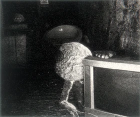 Dwarves | Home Safety Hotline Wiki | Fandom