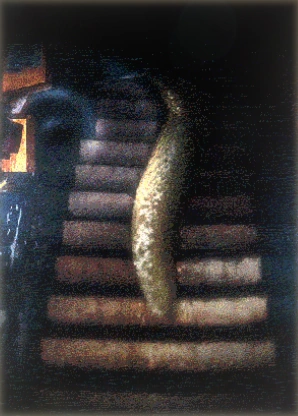 Stair Slug | Home Safety Hotline Wiki | Fandom