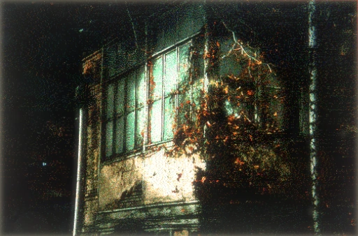 Autumn Vines | Home Safety Hotline Wiki | Fandom