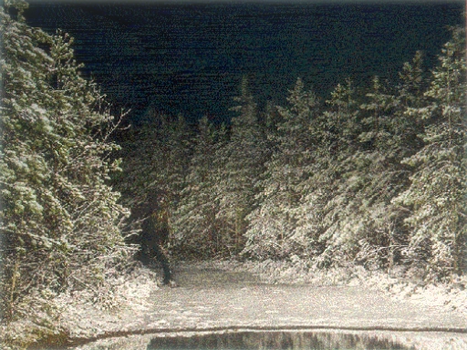 Forgotten Boggart | Home Safety Hotline Wiki | Fandom