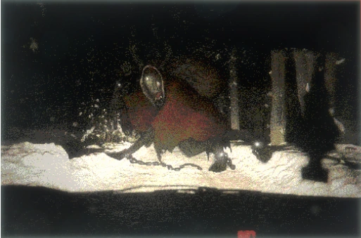 The Sinner | Home Safety Hotline Wiki | Fandom