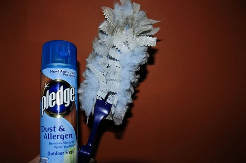 Duster | Home Wiki | Fandom